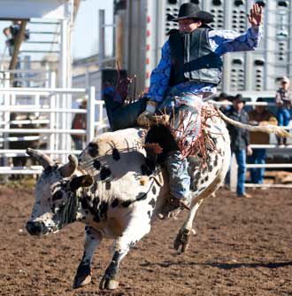 State bull riding title in reach of Show Low senior | Local Sports ...