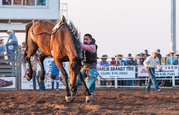 Hancock edges 5 others for 2nd straight bareback title | Local Sports ...