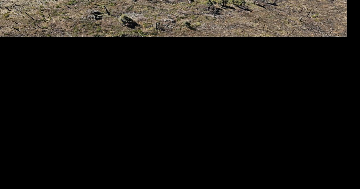 Lightning caused Chitty fire reported near Blue Vista overlook on ...