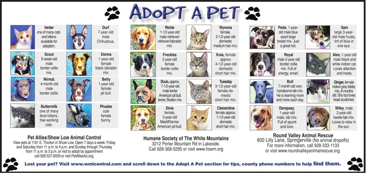 Adopt a Pet | Adopt a Pet | wmicentral.com