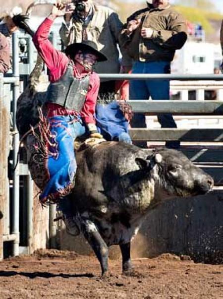 State bull riding title in reach of Show Low senior | Local Sports ...