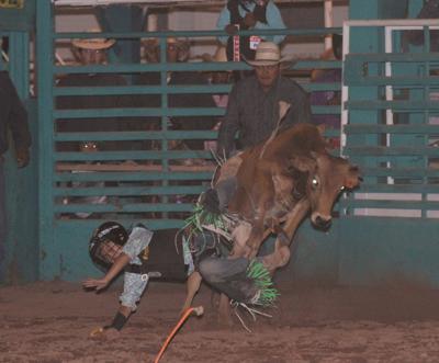 Five rodeos highlight Tribal Fair week | Local Sports | wmicentral.com