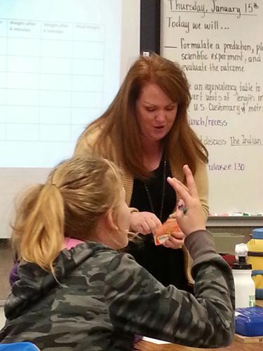 Debbie Hall -- Challenge of helping students motivates Show Low Academy ...