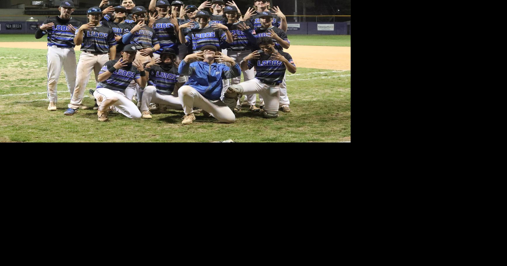 Snowflake at Blue Ridge baseball | Multimedia | wmicentral.com