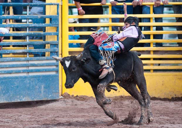 Lil Buckaroo Rodeo | Latest News | wmicentral.com