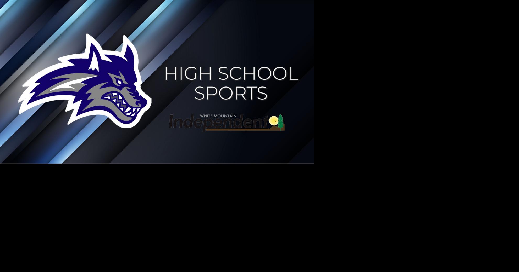 Snowflake Gets Runner-Up in the 4A Football State Playoffs | Sports | wmicentral.com