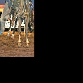 Snowflake Pioneer Days Rodeo | Local Sports | wmicentral.com
