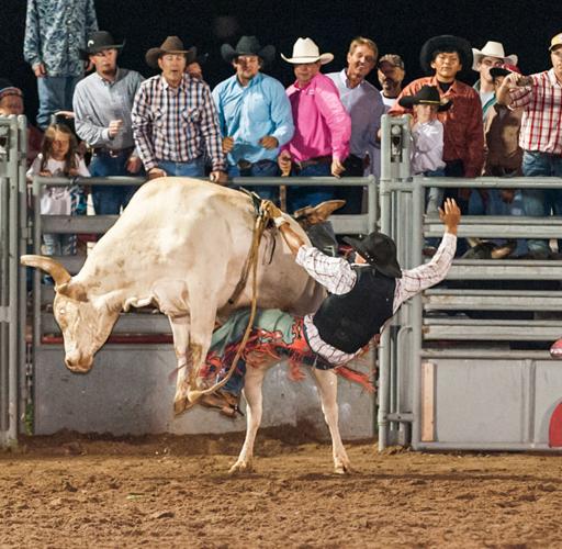 Snowflake Pioneer Days Rodeo | Local Sports | wmicentral.com