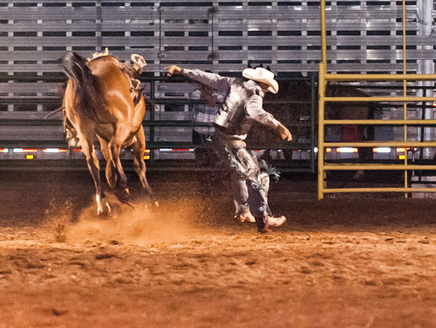 Taylor riders win bareback titles | Local Sports | wmicentral.com