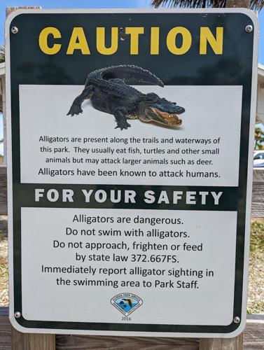 Home is where the hearth is and the gators aren't | Editorial ...