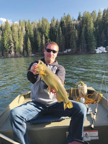 The long tale of the Apache Trout and the Ndee | 260 Connection ...