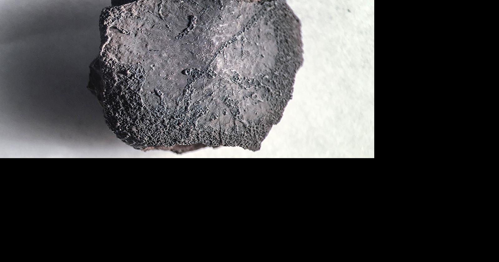 Rare Arizona meteorite receives Apache name | Latest News | wmicentral.com