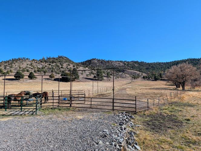 Rooted in the White Mountains: Wink Crigler, X Diamond Ranch, and a way ...