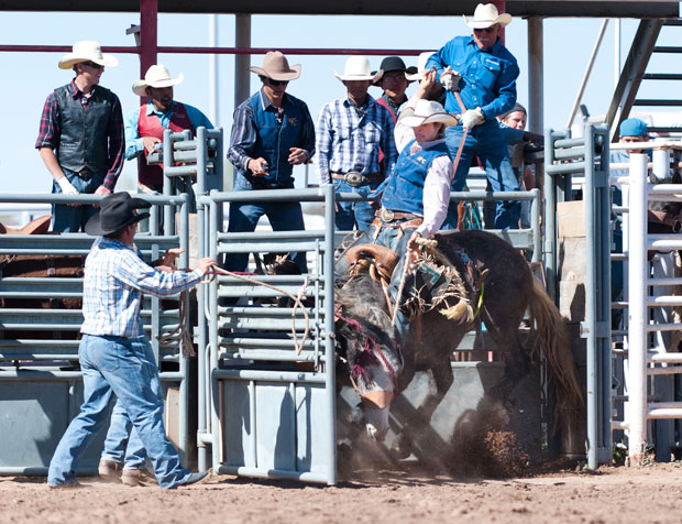 Pick-up man | Latest News | wmicentral.com