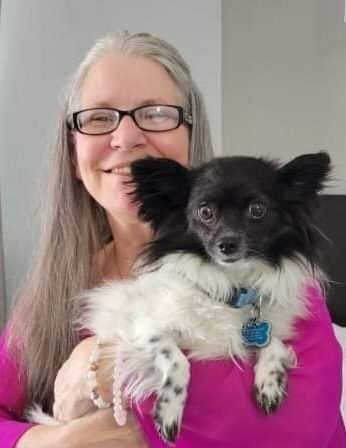 A small animal rescue may soon be a reality in Snowflake | News ...