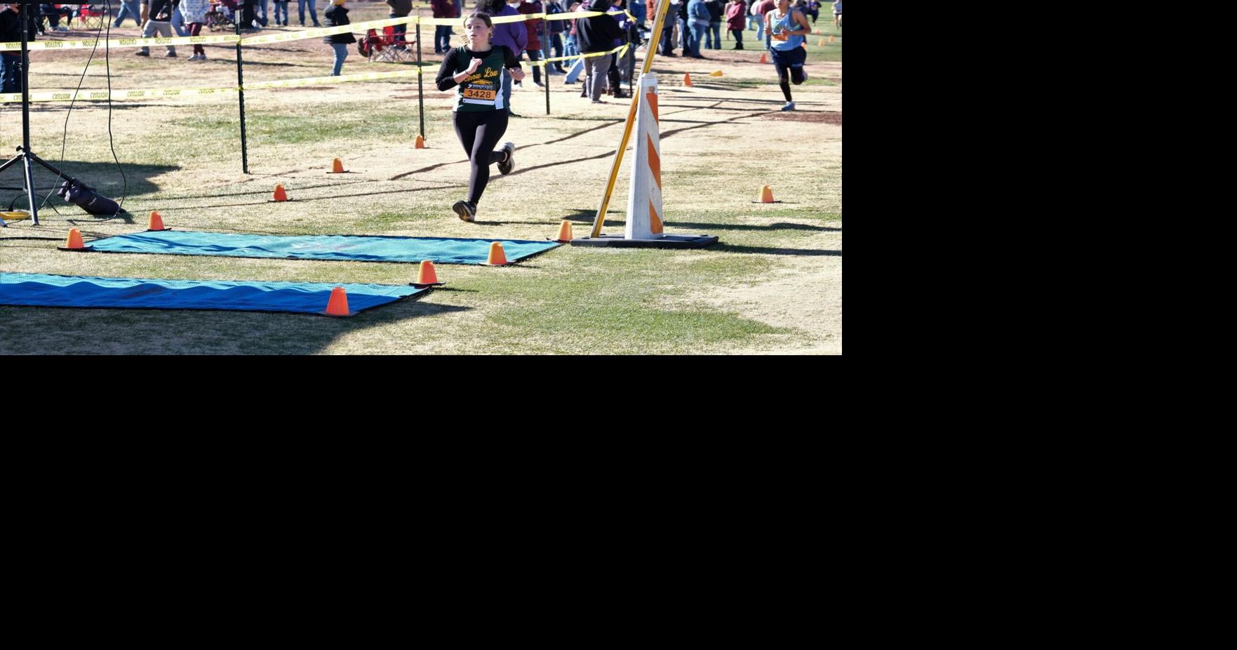 Runners chase the mark trying to qualify for the State Cross Country ...