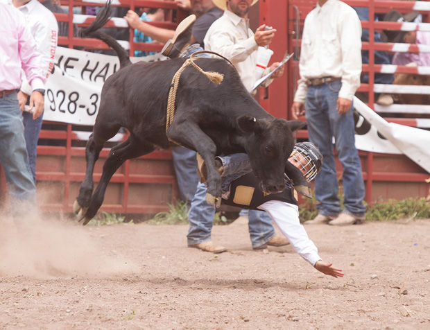 Luna Rodeo Orona, Hulseys top wild cow riders for yet another year ...