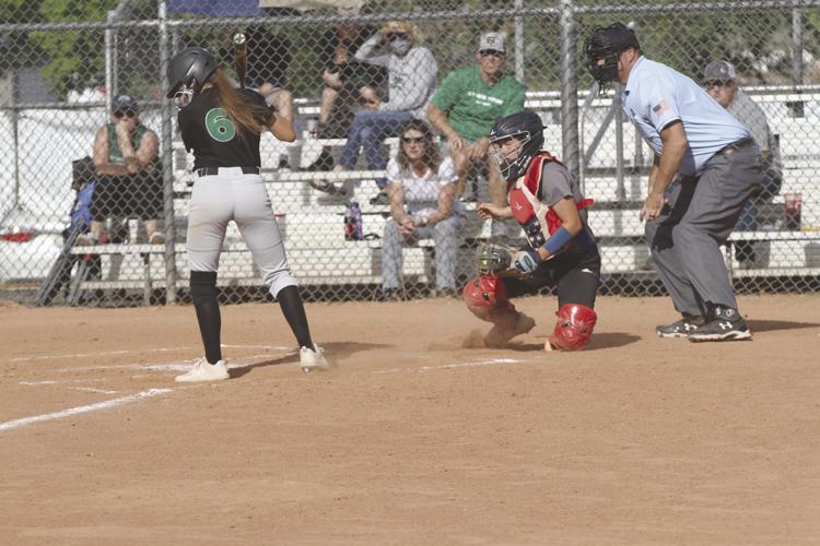 Snowflake falls in state quarterfinal game | Local Sports | wmicentral.com