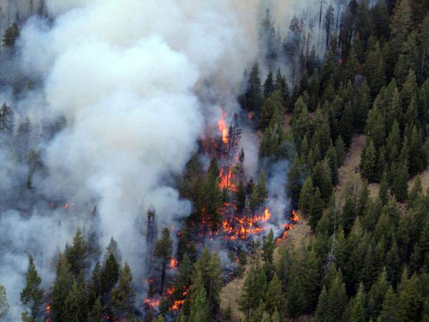 Greer placed on pre-evacuation notice due to Wallow Fire progression ...