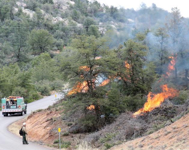 Forest Service works to turn wildfire into a friend | Fire Season ...