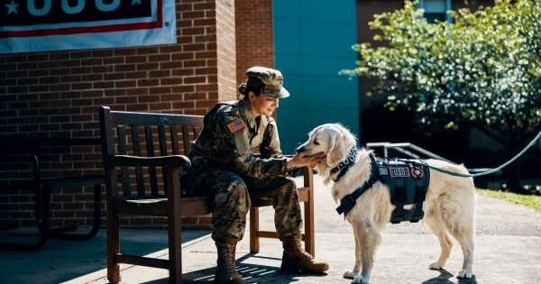 How Programming Found Worldwide Supports the U.S. Military Community ...
