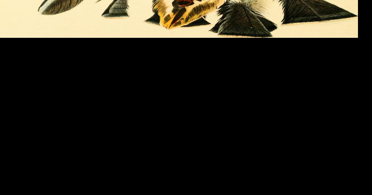 Native Americans celebrate the winter solstice | Latest News ...