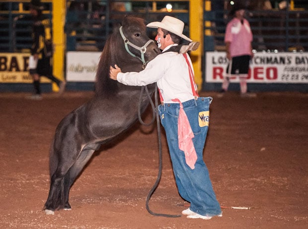 Navajo County Fair Rodeo - "Fun for the whole herd" | Latest News ...