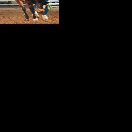 NPC hosts college rodeo, ties for 2nd - NPC team ropers Logan and Wacey ...