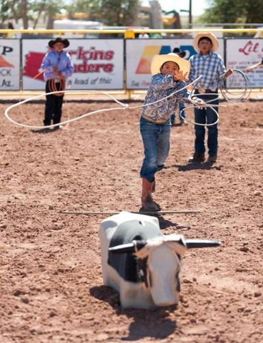 Ride 'em Little Buckaroos - Navajo County Fair | Multimedia ...