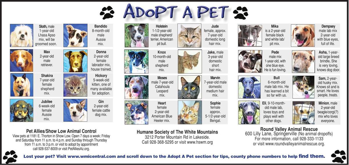 Adopt a Pet | Adopt a Pet | wmicentral.com