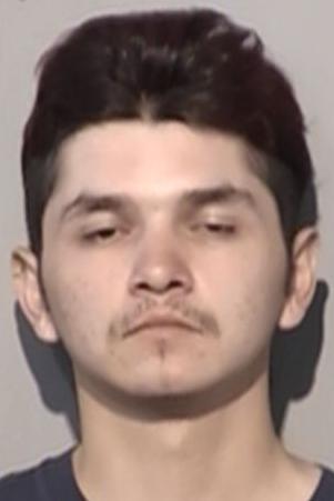 Show Low Police Department activity log, June 5-11 | Police ...