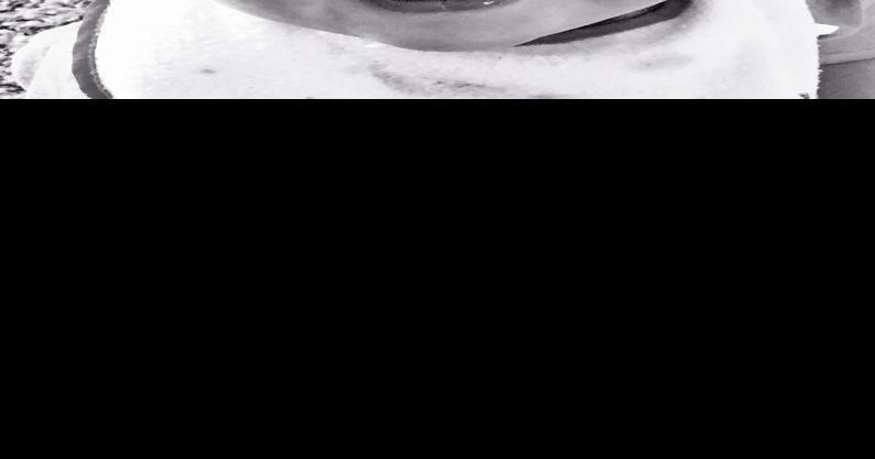 Jacob Hatch | Latest Obituaries | wmicentral.com