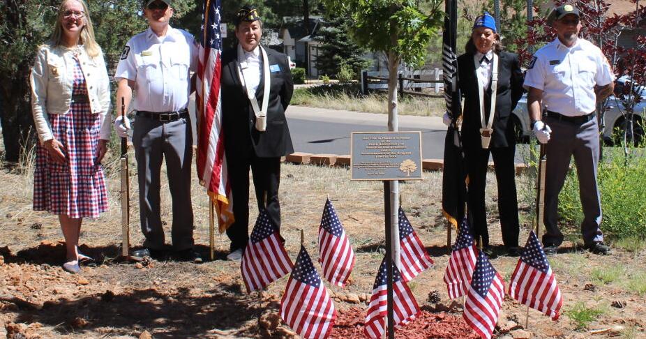 Liberty Tree takes root in Show Low | News | wmicentral.com