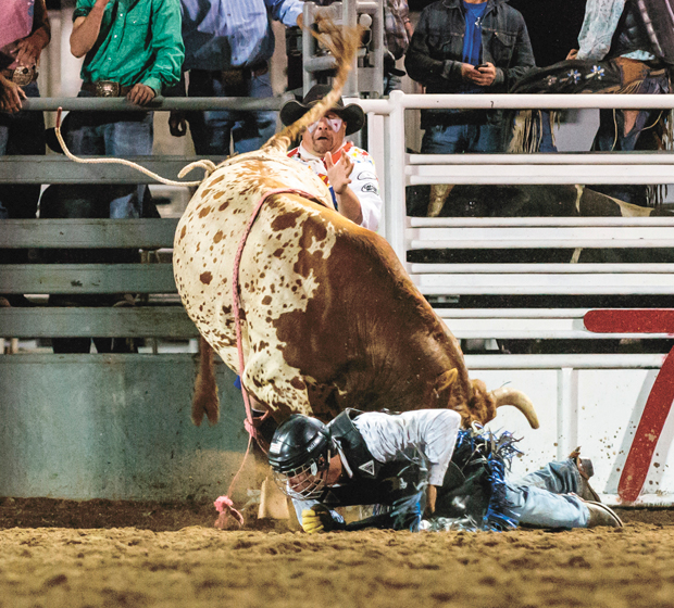 Snowflake Pioneer Days Rodeo | Local Sports | wmicentral.com