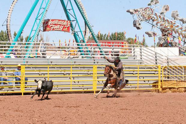 Navajo County Fair and Rodeo | Multimedia | wmicentral.com
