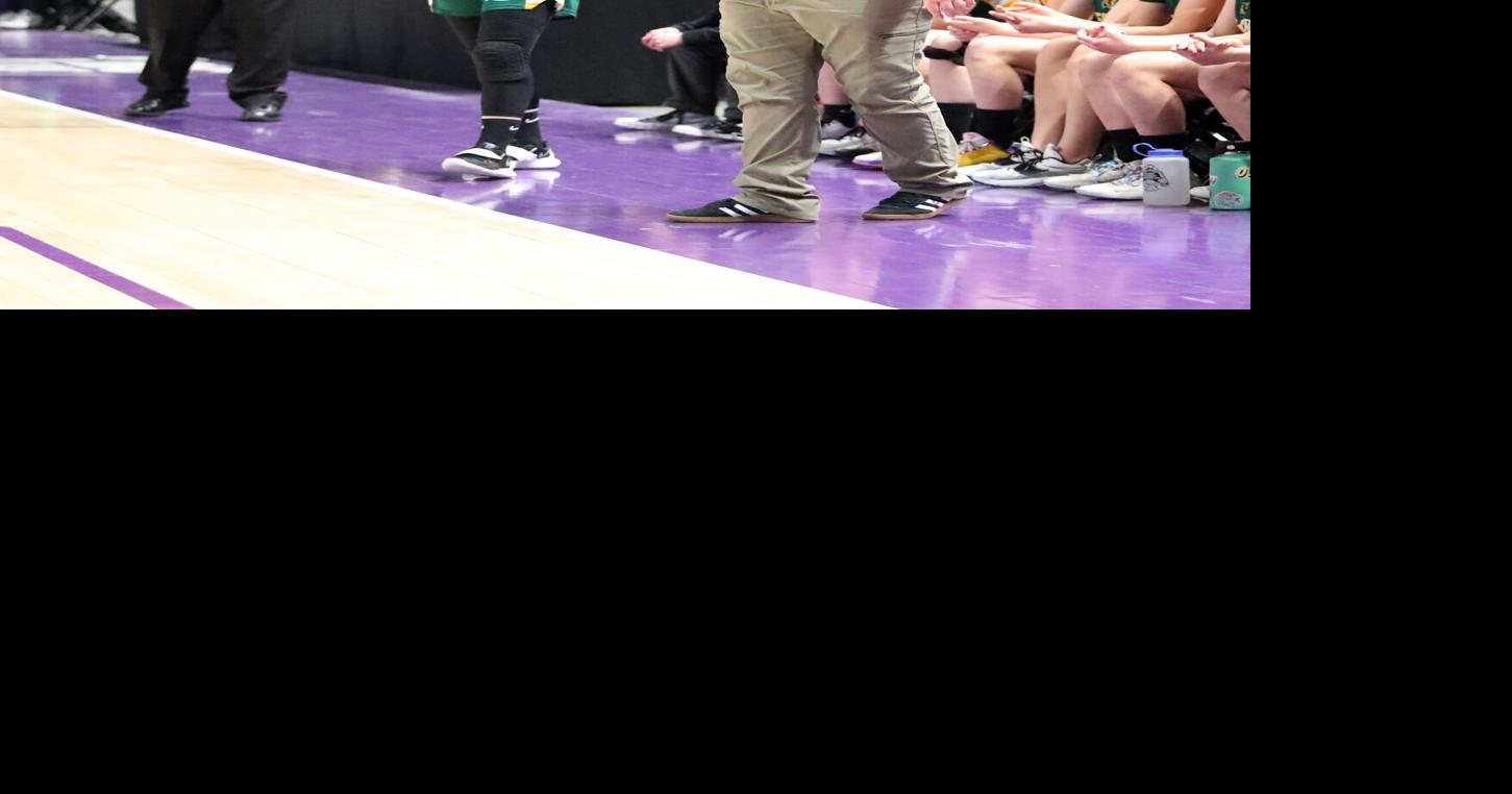 Six Show Low girls recognized on All-3A East team | Sports | wmicentral.com