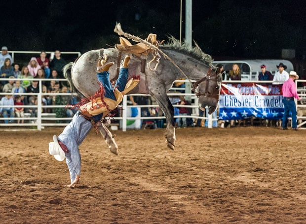 Snowflake Pioneer Days Rodeo | Local Sports | wmicentral.com