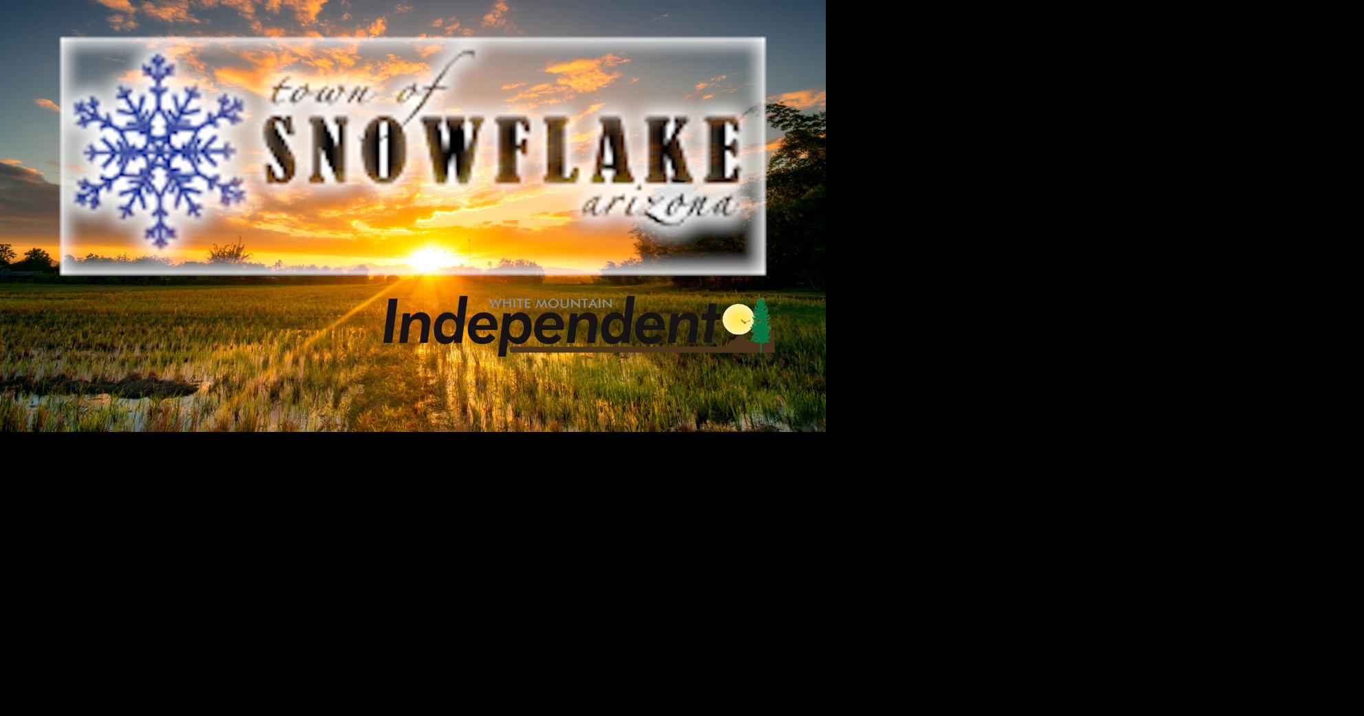 AI cameras, upcoming fee changes at Snowflake Town Council | News ...