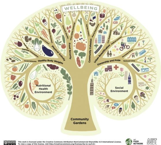 Get more exercise. Eat right. Meet new friends. | Local News ...