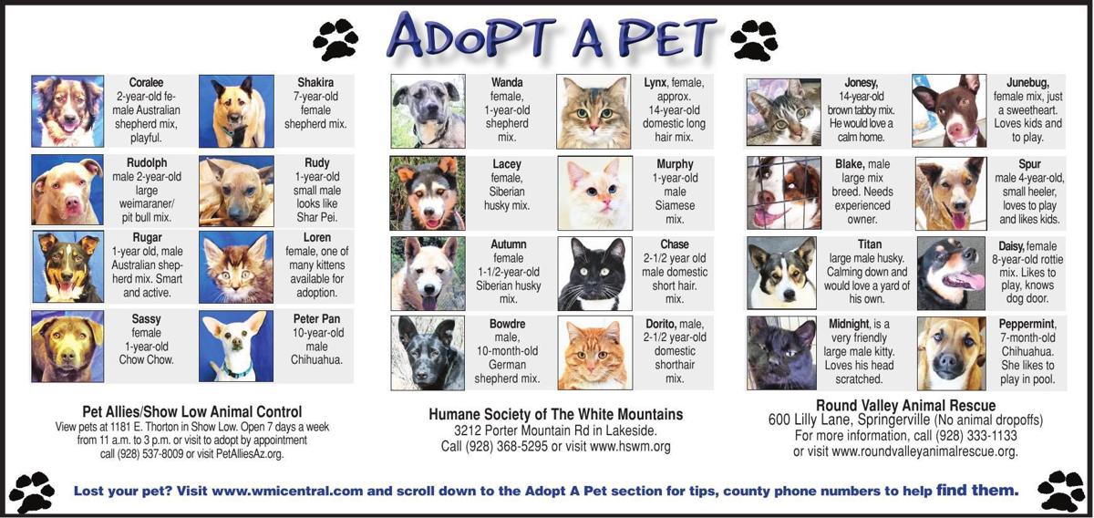 Adopt a Pet | Adopt a Pet | wmicentral.com