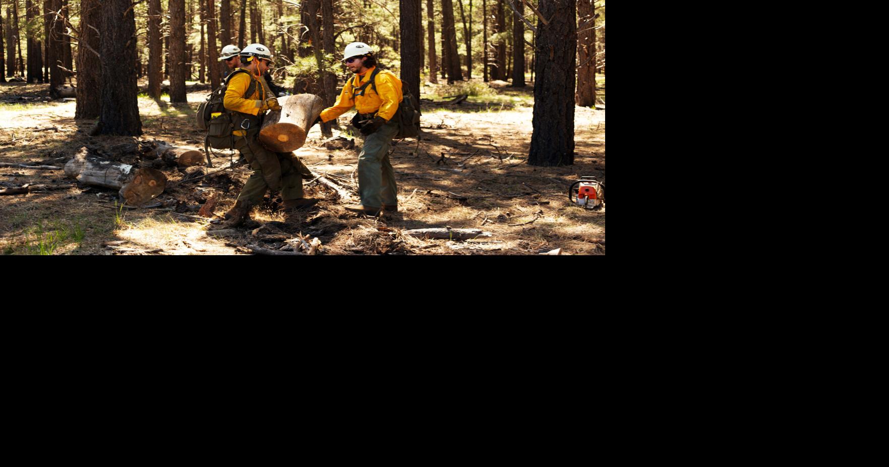 Forest Service manages fires to thin forest as mild weather persists ...