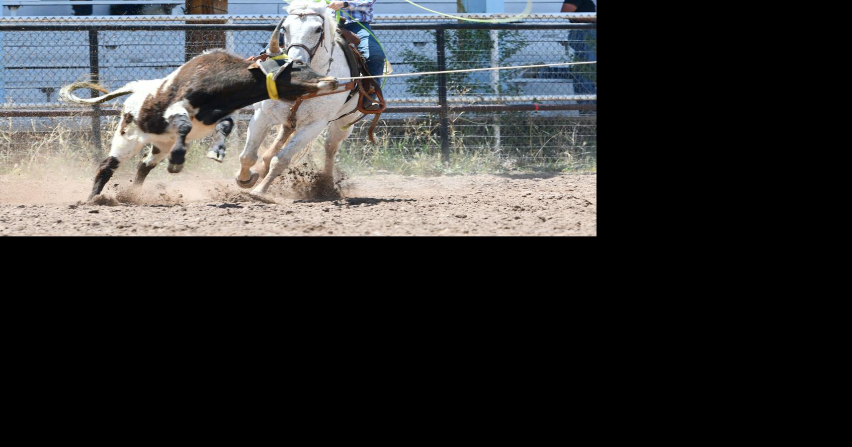 Round Valley Rodeo Junior provides competition, challenges for area ...
