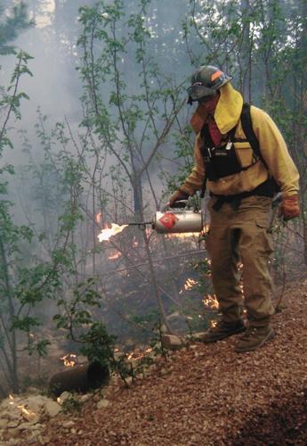 Wallow Fire headed for record size | Premium News | wmicentral.com