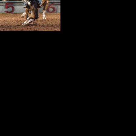 Snowflake Pioneer Days Rodeo | Local Sports | wmicentral.com