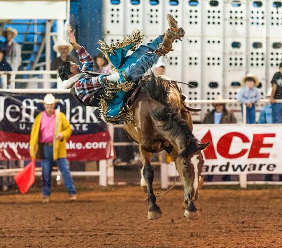 Snowflake Pioneer Days Rodeo | Local Sports | wmicentral.com