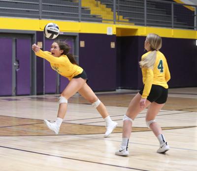 Area spikers have this week to prep for playoffs | Local Sports ...