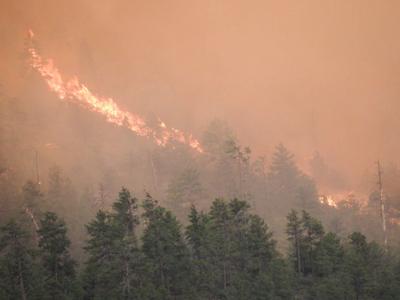 Cedar Fire No. 1 priority in the country | | wmicentral.com