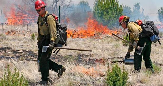 New "Wash" fire burning off Highway 377 near Heber-Overgaard now ...