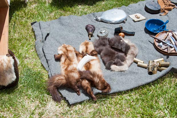 Trapper Days fun | Latest News | wmicentral.com