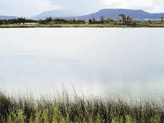 Go Fishin'Becker Lake | Recreation | wmicentral.com